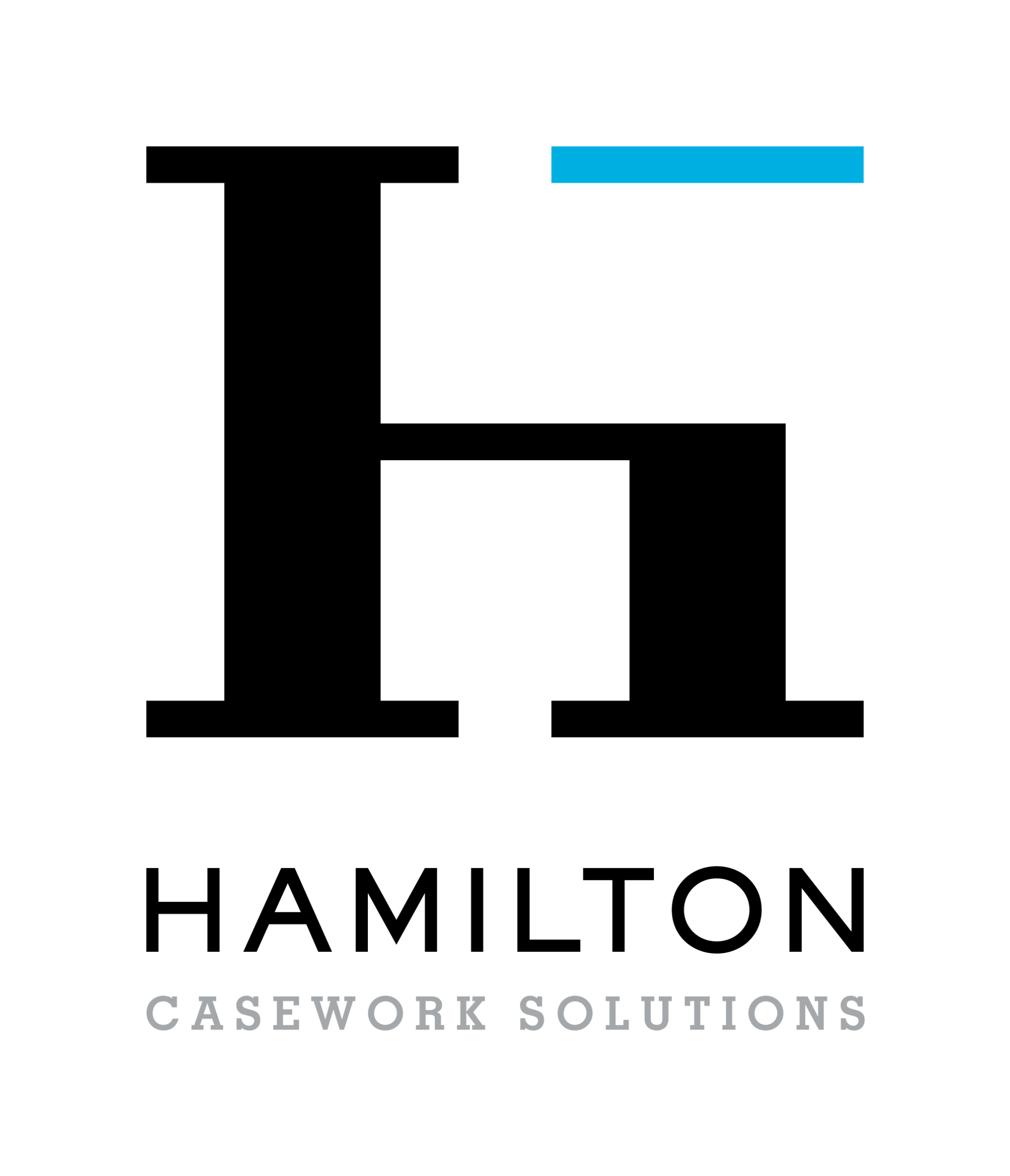 Hamilton Casework Solutions - Custom Storage Solutions